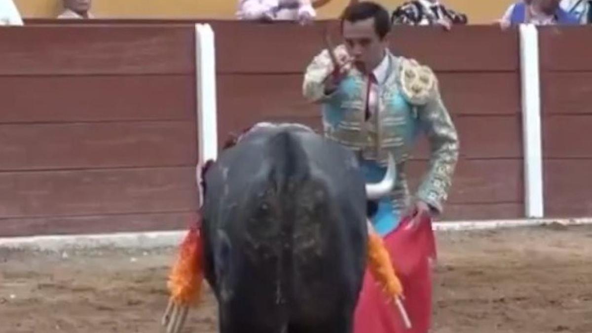 Torero mexicain encorné au rectum : "Son baptême du sang après 5 ans ...
